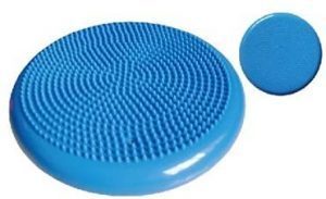 Therapist's Choice Stability Balance Disc | Canine Arthritis Resources ...