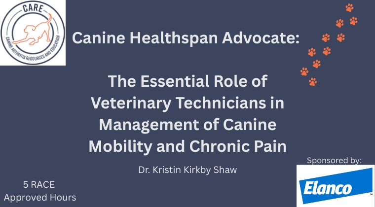Pain Management Archives | Canine Arthritis Resources and Education