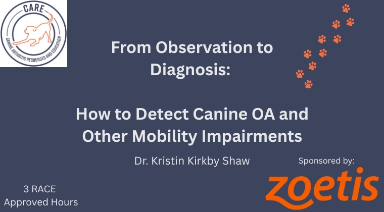 Pain Management Archives | Canine Arthritis Resources and Education